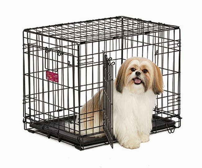 New World Cusca Metalica 61 cm B24 - Petshop Online Zoomania